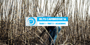 IELTS Writing Task 1: Process Diagram - Sugar Production - Educatorian
