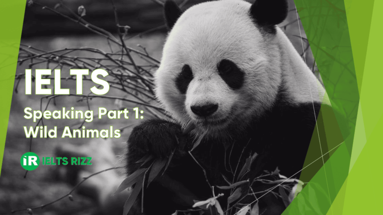 IELTS Speaking Part 1 - Wild Animals - IELTS Rizz